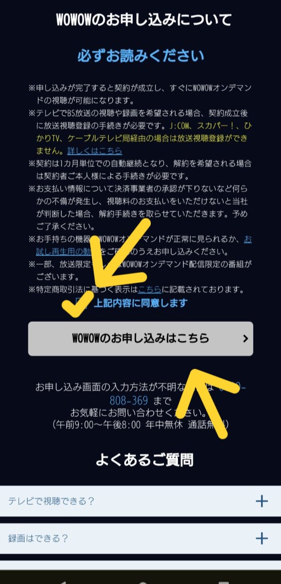 【CLだけ観る方法を徹底解説】WOWOW「CL・EL2024‐25シーズンパス」写真で見る加入方法簡単ガイド | ぐなこブログ